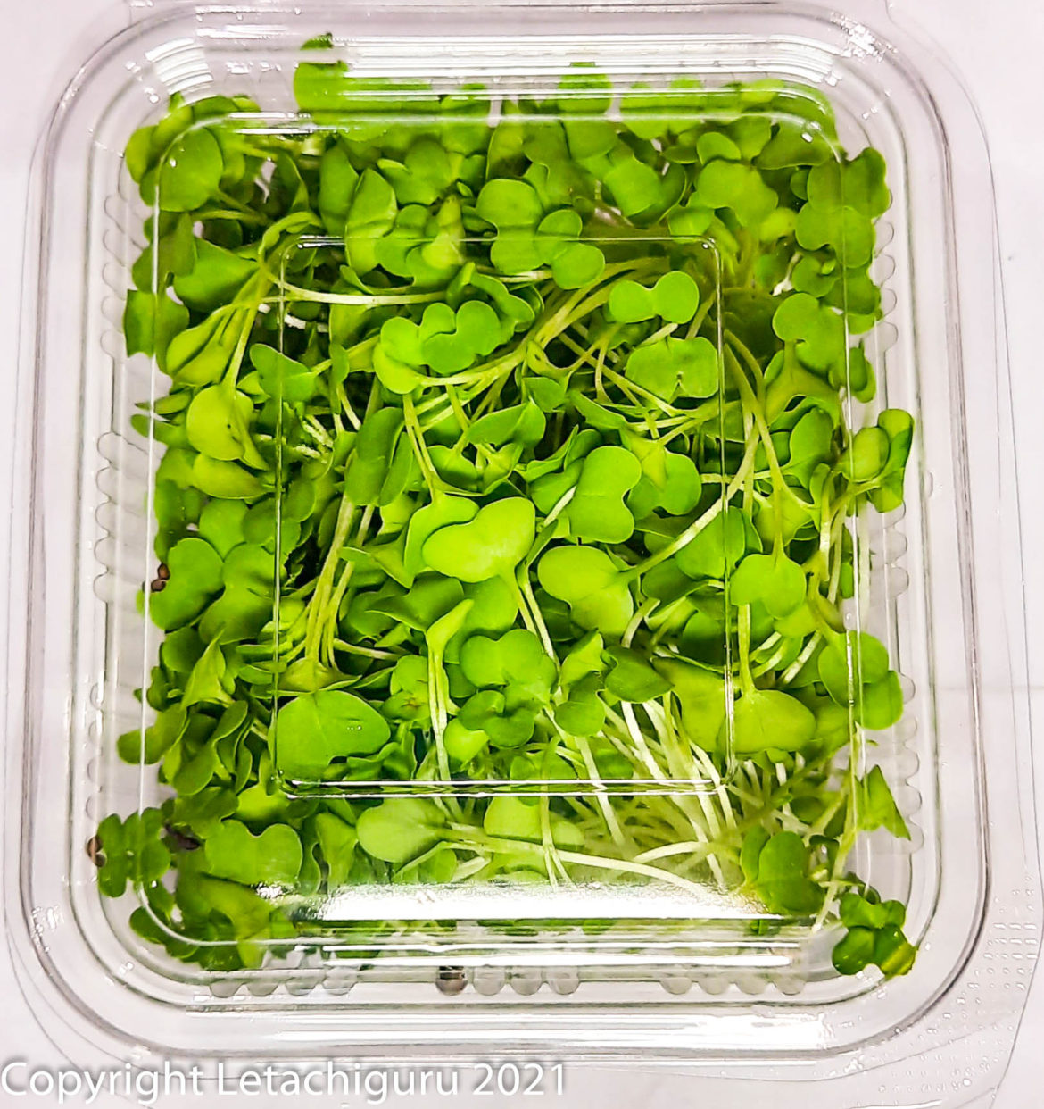 Green Mustard Microgreens 30gm – Letachiguru
